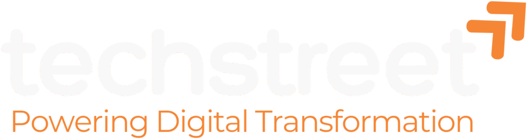 ERP Implementation - TechStreet